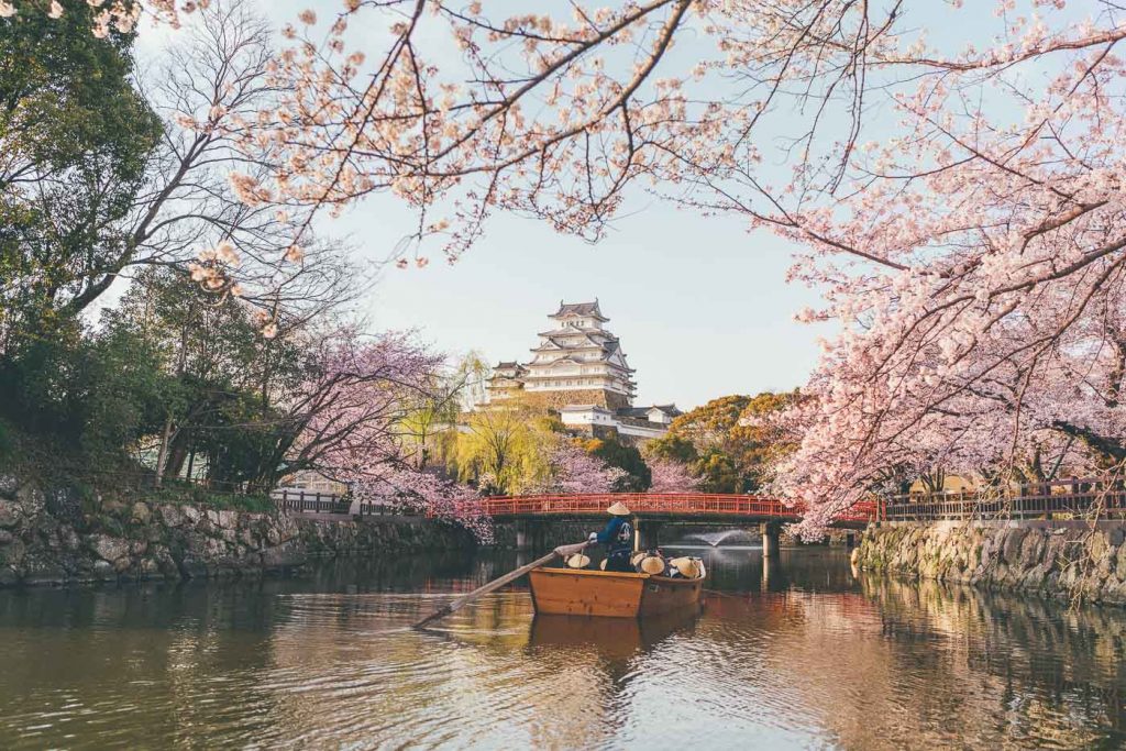 Cherry blossom in Japan – Stefan Haworth